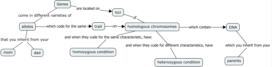 Inheritance Concept Map